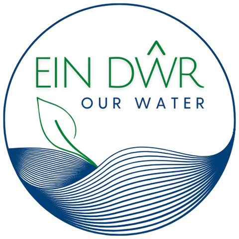 Cold Water Swimming - Carers Support West Wales
